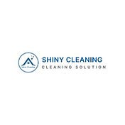 Shiny Cleaner – Medium