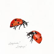 lady-bird – Medium