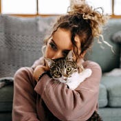 Alexander The Cat – Medium