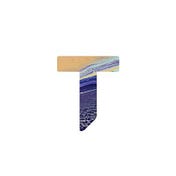 Thorne HealthTech