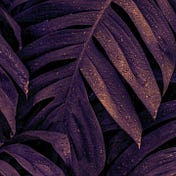 Aisha Aminu Bello – Medium