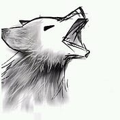 Brian Cho – Medium