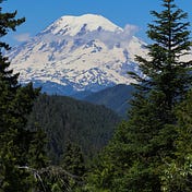 National Park Explorer