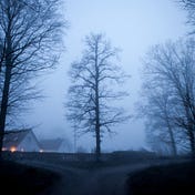 Average Medium Reader Medium