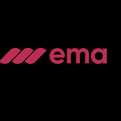 Ema Safety Shoes – Medium