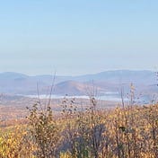 My Dream Diary Medium