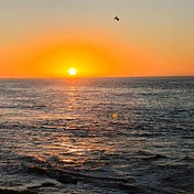 Anne Hamilton – Medium