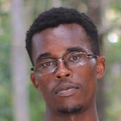 Emmanuel Moses – Medium