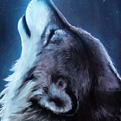 Kitty Wolf – Medium