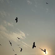 Anna Quest – Medium