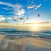 Ocean World