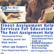 The Best Assignment Help – Medium