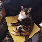 Gene H Fang – Medium