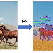 The most insightful stories about Segment Anything - Medium