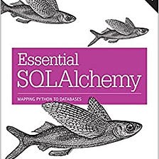 Danica Little – Medium