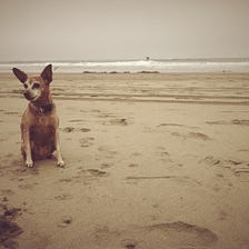 Lisa Katayama – Medium