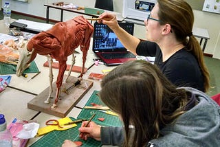 Academy of Animal Sport Science LLC – Medium