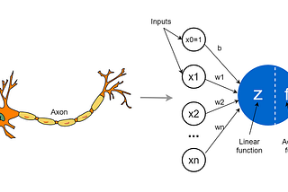 Handwritten Digit Classification with Neural Networks (PyTorch): A Comprehensive Guide | by ...