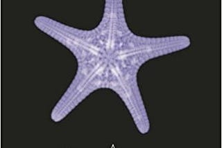 READ/DOWNLOAD!] The Arm of the Starfish FULL BOOK – Medium