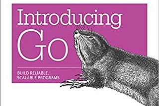 AUDIOBOOK/PDF*) Introducing Go: Build Reliable, Sc – Medium