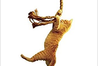READ/DOWNLOAD@) Save The Cat! The Last Book on Scr – Medium
