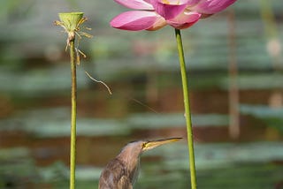 Upload both request body and multipart file using Spring’s RestTemplate ...