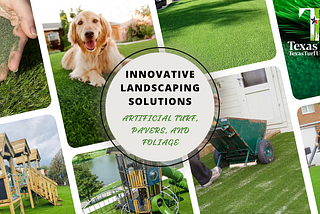 Texas Turf – Medium