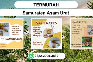 samuraten asam urat – Medium