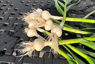 The most insightful stories about Inspiration - Medium