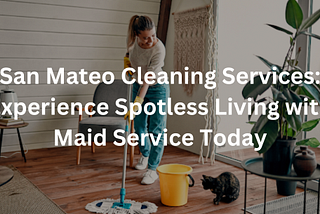Maid Service Today – Medium