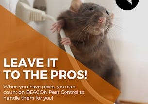 Beacon Pest Control – Medium