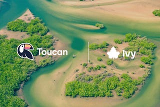 Toucan Protocol Medium