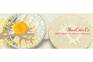 Mua Coin CO – Medium