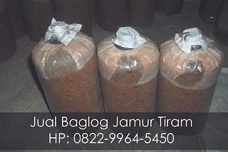 Grosir Baglog Bojonegoro – Medium