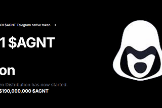 AGENT 301 AIRDROP – Medium