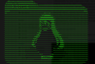 Linux Fundamentals Part 1: A gentle introduction to using the Linux Command Line (CLI) | by ...