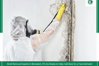 Mack's Mold Removal LLC – Medium