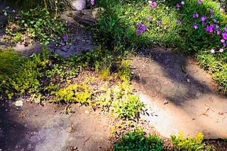 Susan Christiana – Medium