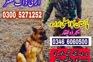 Pakistan Army Dog Center – Medium