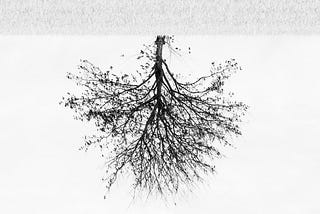 Matt Wiater – Medium