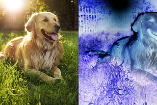 2D-Discrete Wavelet Transformation and its applications in Digital Image Processing using MATLAB ...