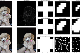 List: Introduction to Image Processing with Python | Curated by Erika Lacson | Medium