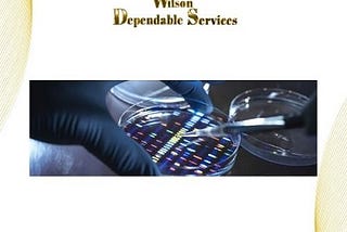 Wilson Dependable Services – Medium