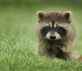 Sameer Darekar on Medium curated some lists