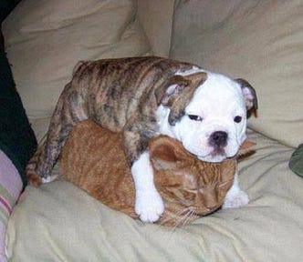 The most insightful stories about Facebook - Medium