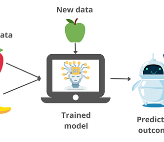 Maxwell Wong on Medium curated some lists