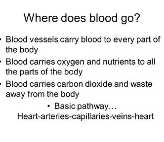 Naveed Ali on Medium curated some lists