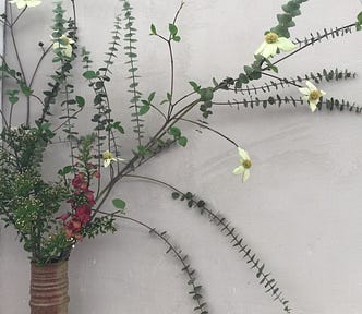 Kubra on Medium curated some lists