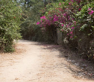 Erik Dahl on Medium curated some lists