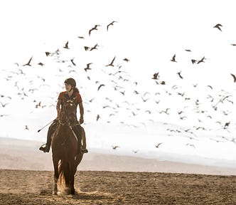 Liz Arias on Medium curated some lists